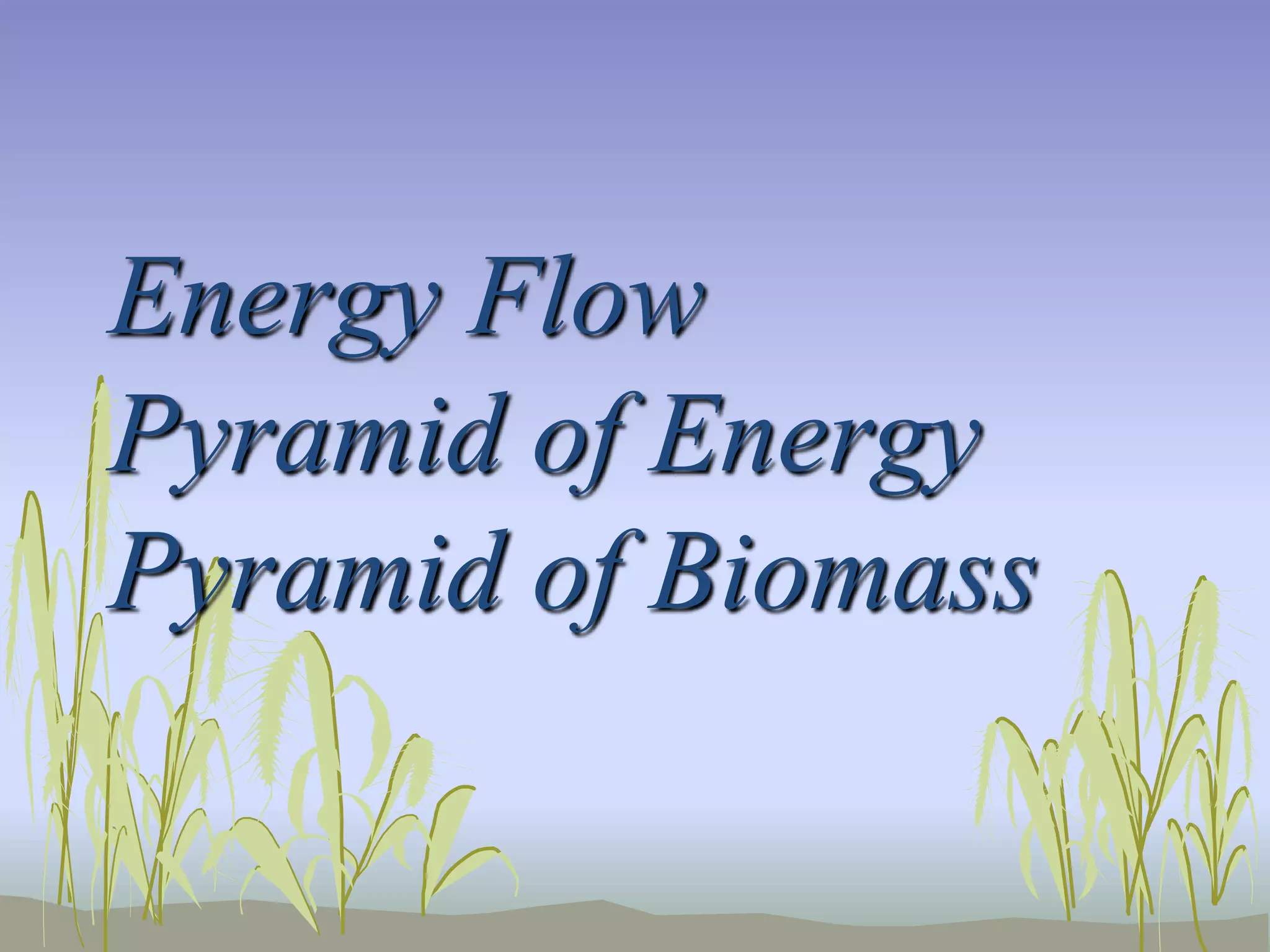 Energy flow and biological pyramids | PPT