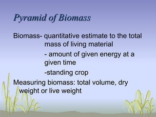 Energy flow and biological pyramids | PPT