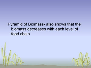 Energy flow and biological pyramids | PPTX