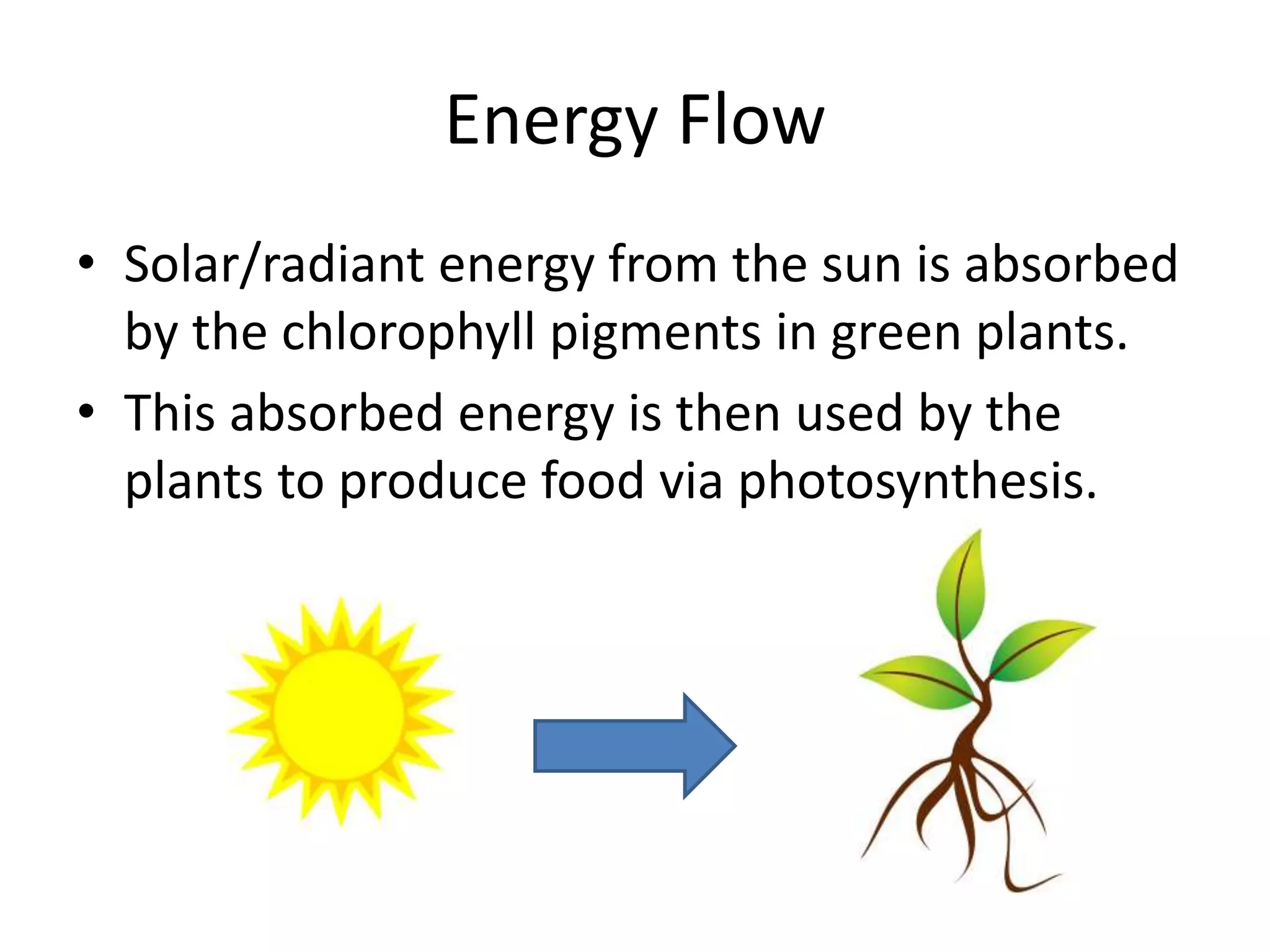 Energy flow and nutrient cycles | PPT