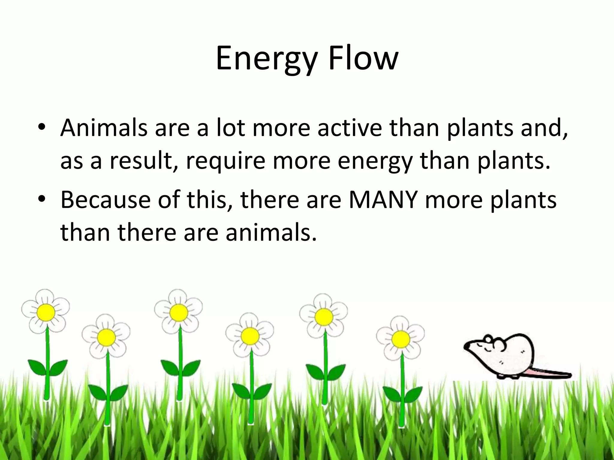 Energy flow and nutrient cycles | PPTX