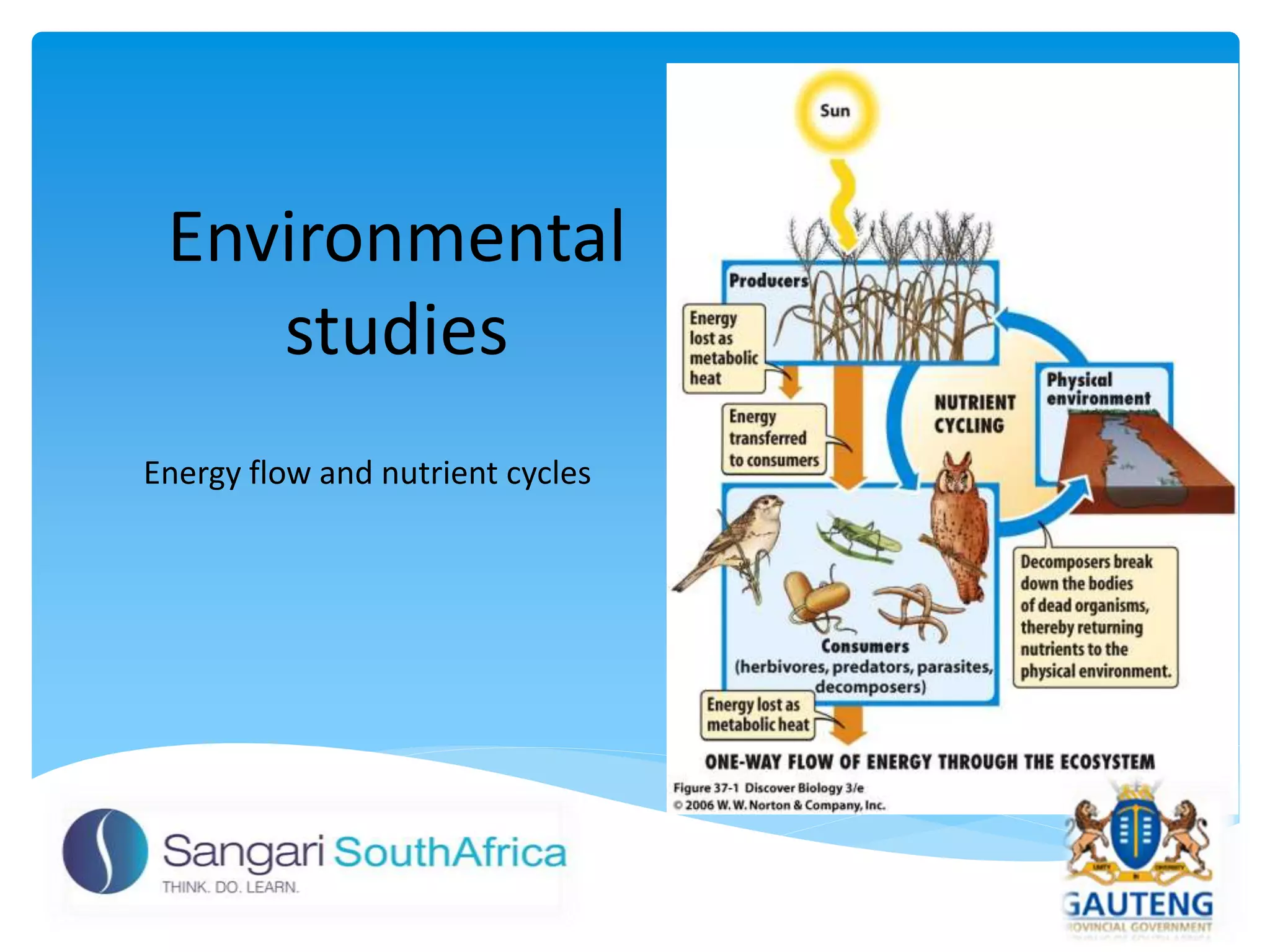 Energy flow and nutrient cycles | PPTX