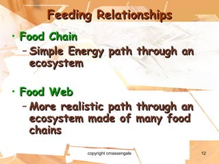 Energy flow and productivities | PPT