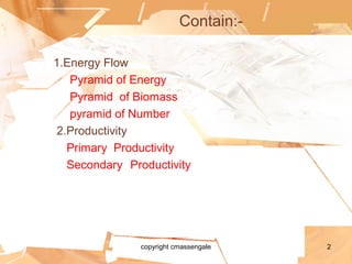 Energy flow and productivities | PPT