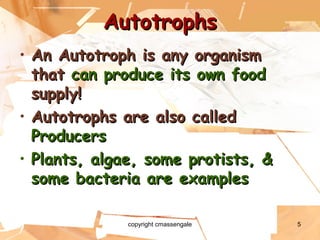 Energy flow and productivities | PPT