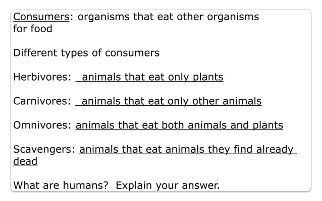 Energy Flow And Succession | PPT