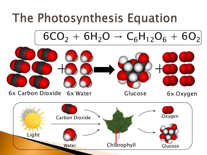 Energy flow (bd mod)