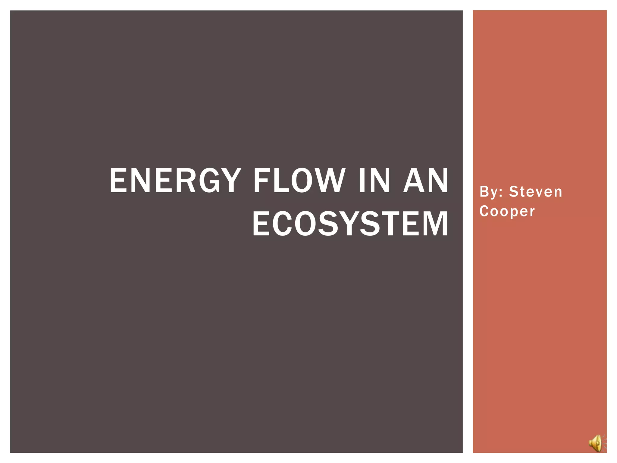 Energy flow in an ecosystem | PPTX | Science