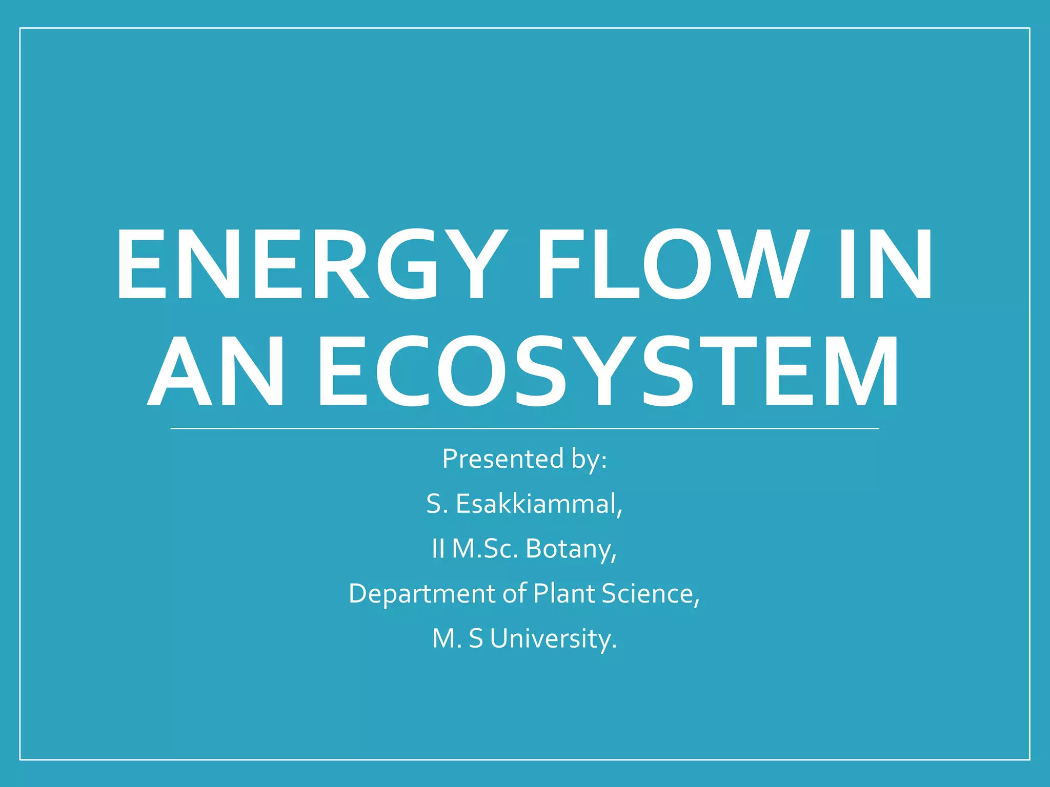 Energy flow in an ecosystem | PPTX | Environment | Science