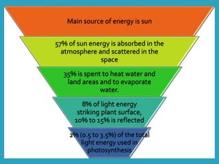 Energy flow in an ecosystem | PPTX | Environment | Science