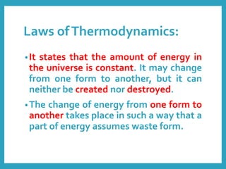 Energy flow in an ecosystem | PPTX | Environment | Science