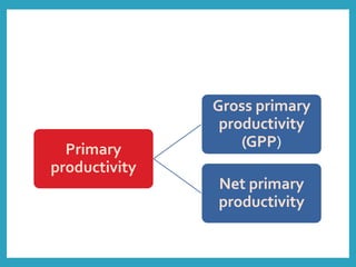 Energy flow in an ecosystem | PPTX | Environment | Science