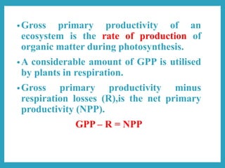 Energy flow in an ecosystem | PPTX | Environment | Science