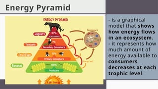 Energy flow in an ecosystem grade 7 q2.pptx