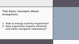Energy flow in an ecosystem grade 7 q2.pptx