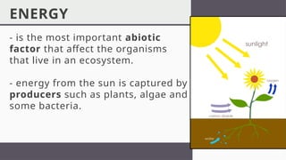 Energy flow in an ecosystem grade 7 q2.pptx
