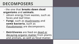 Energy flow in an ecosystem grade 7 q2.pptx