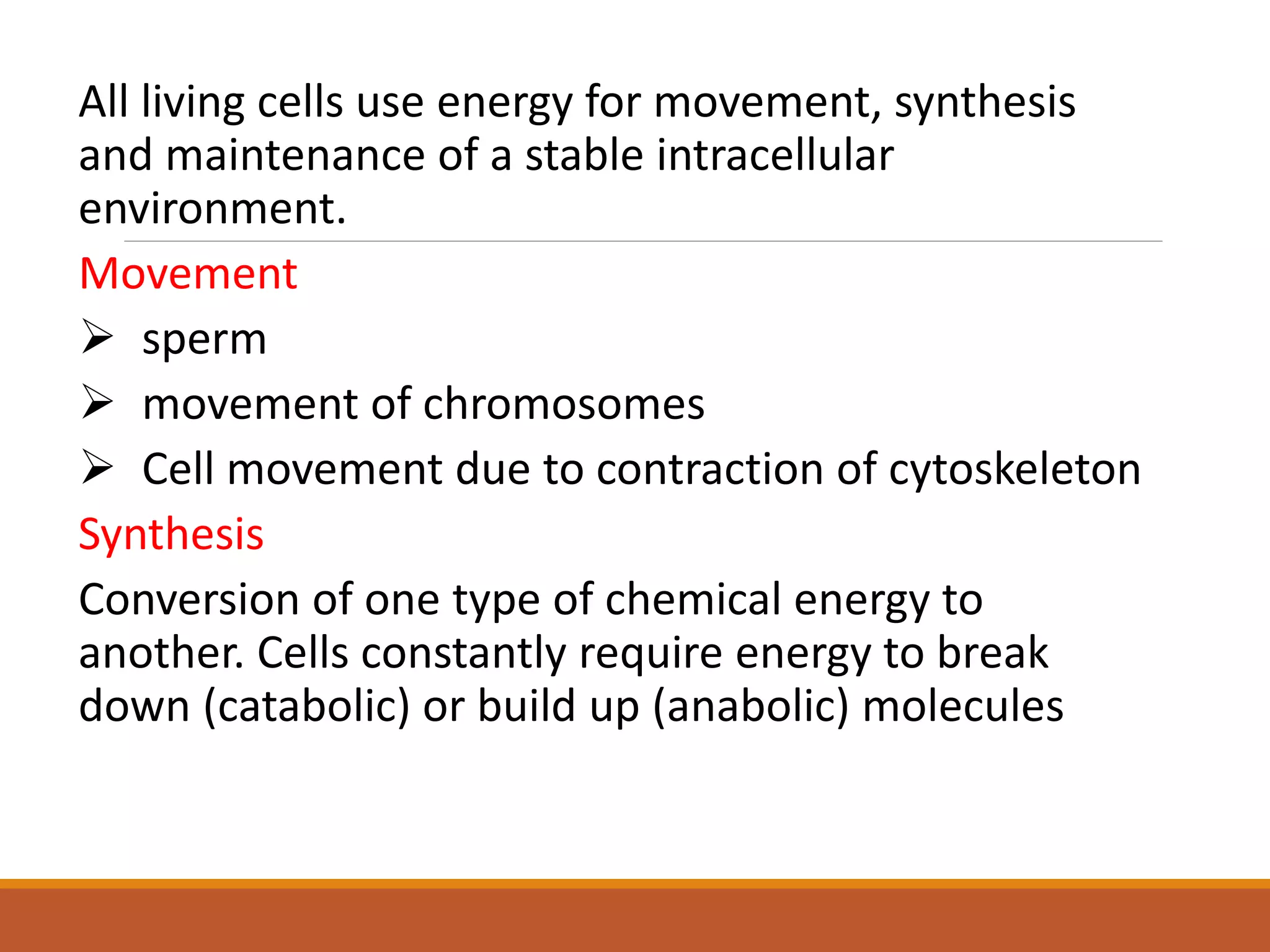 Energy flow in cells | PPTX