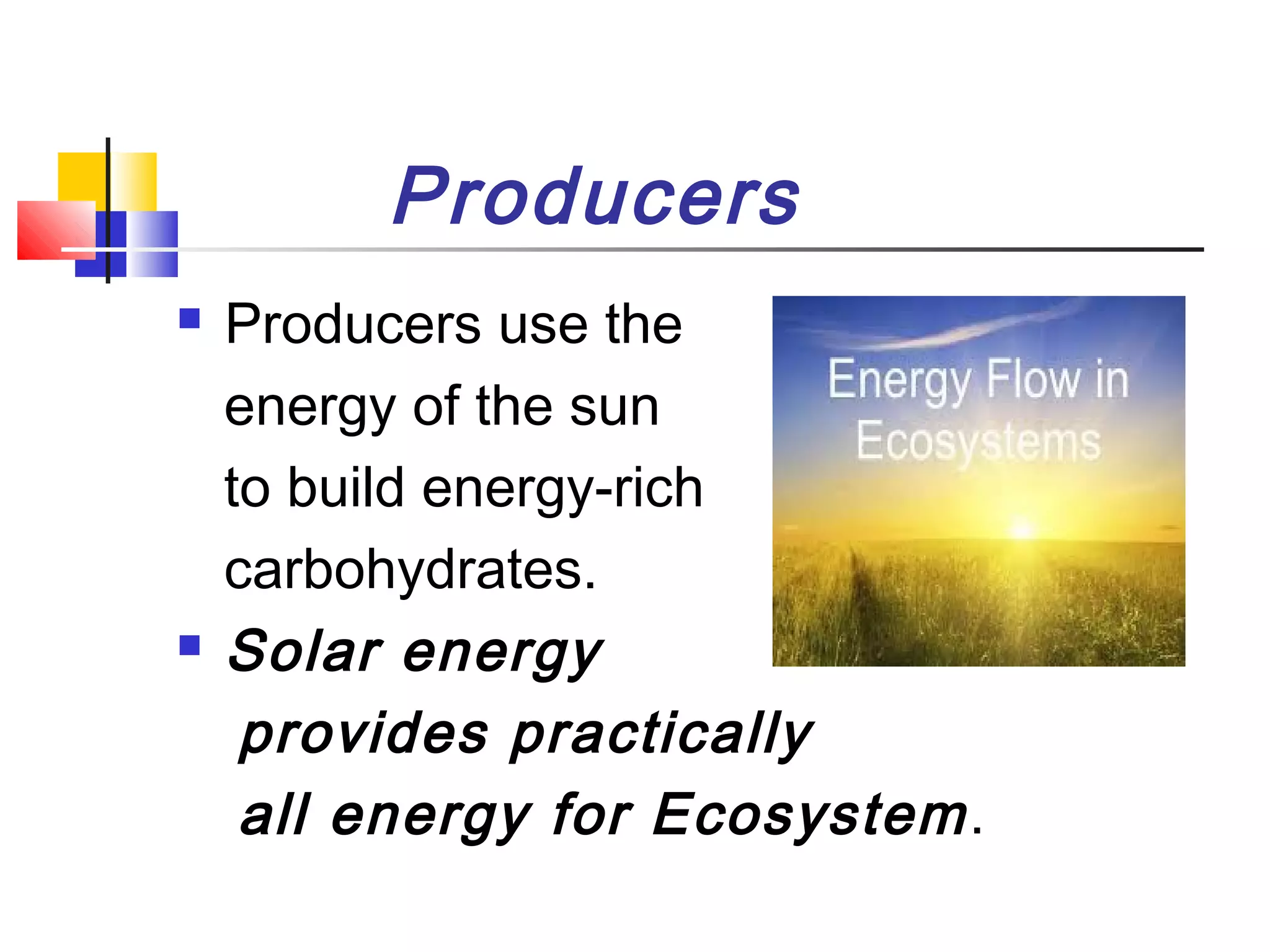 Energy flow in ecosystem | PPT