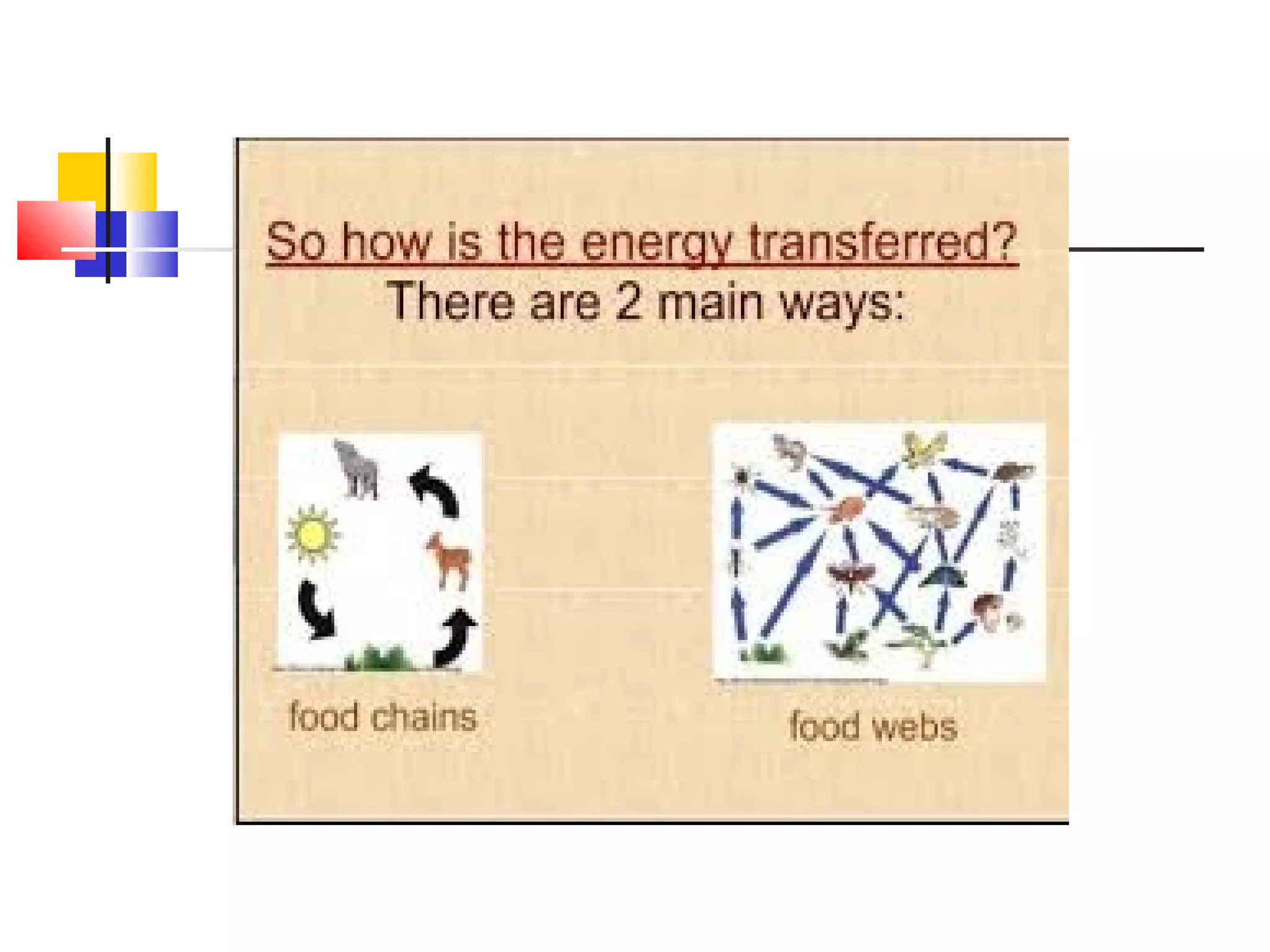 Energy flow in ecosystem | PPT
