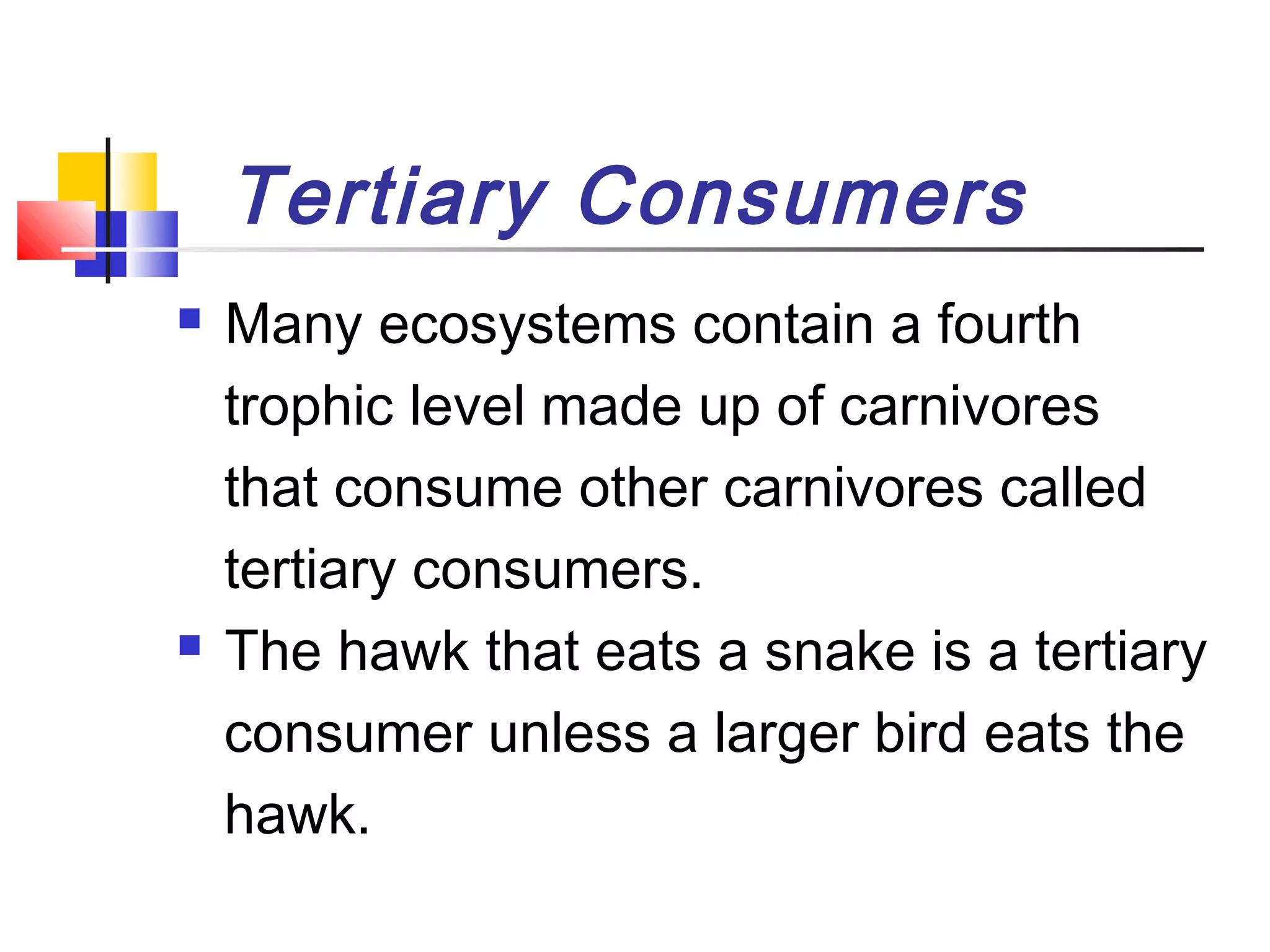 Energy flow in ecosystem | PPT