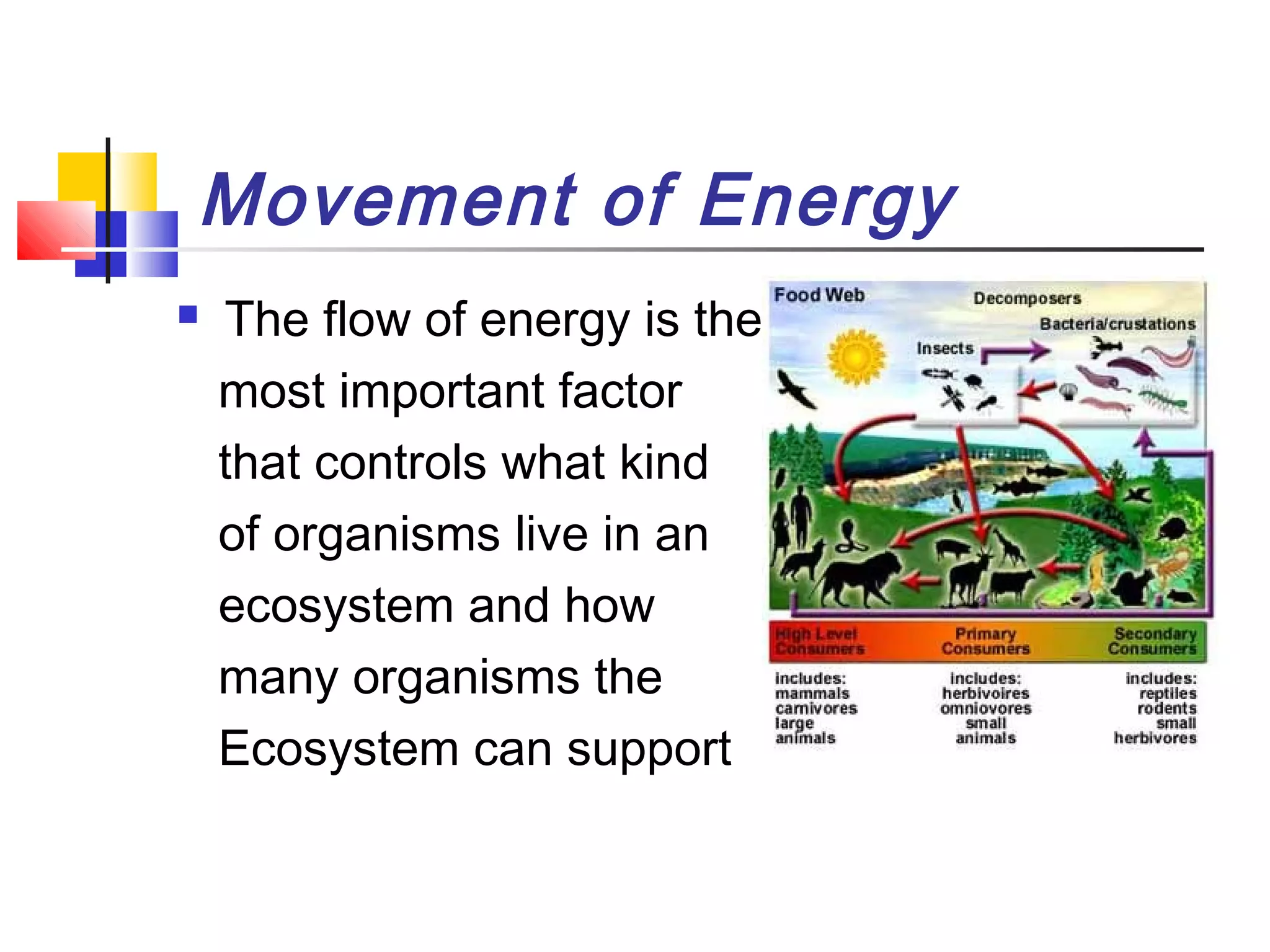 Energy flow in ecosystem | PPT