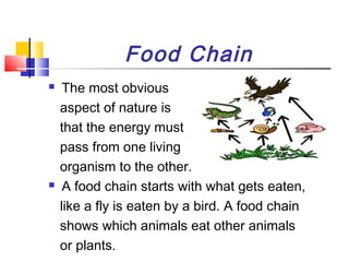 Energy flow in ecosystem | PPT