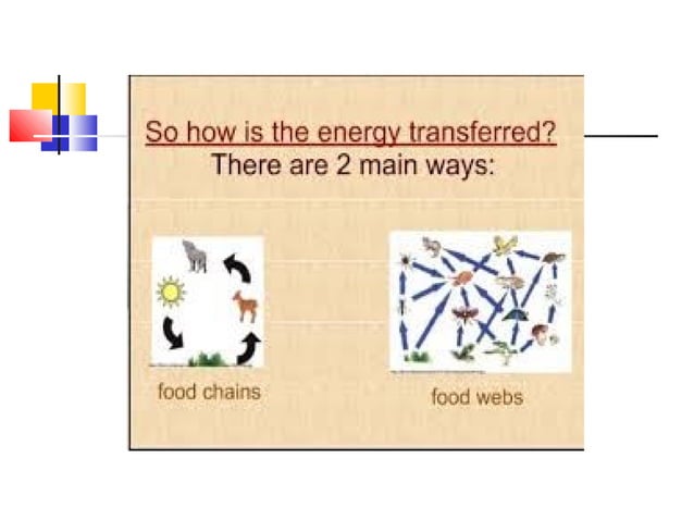 Energy flow in ecosystem | PPT