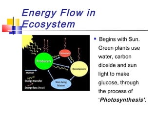 Energy flow in ecosystem | PPT