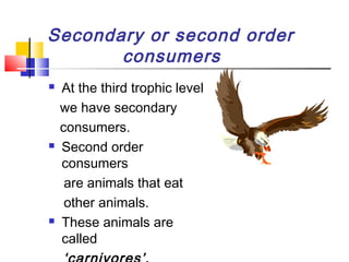 Energy flow in ecosystem | PPT