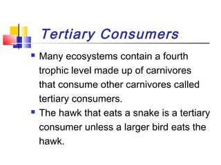 Energy flow in ecosystem | PPT