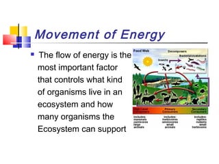 Energy flow in ecosystem | PPT
