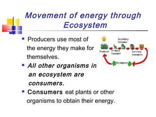 Energy flow in ecosystem | PPT