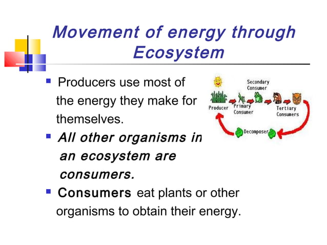 Energy flow in ecosystem | PPT