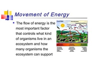 Energy flow in ecosystem | PPT