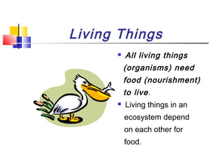 Energy flow in ecosystem | PPT