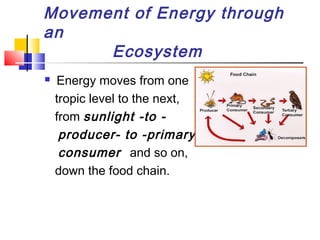 Energy flow in ecosystem | PPT