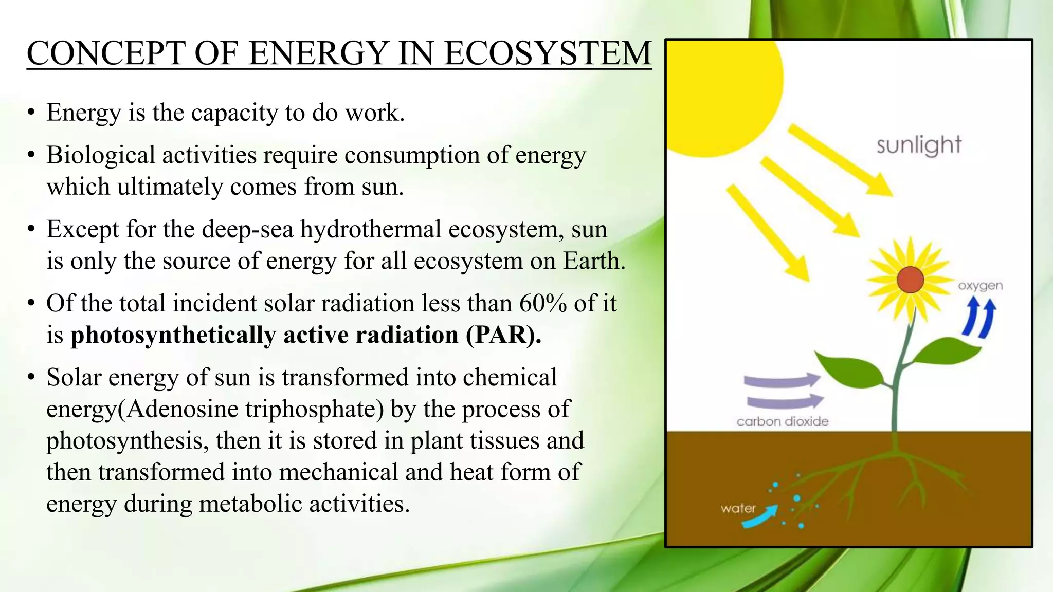 Energy flow in ecosystem | PPTX
