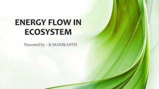 Energy flow in ecosystem | PPTX