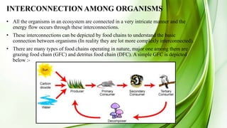 Energy flow in ecosystem | PPTX