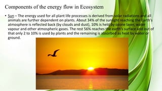 Energy flow in ecosystem | PPTX