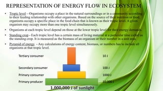Energy flow in ecosystem | PPTX