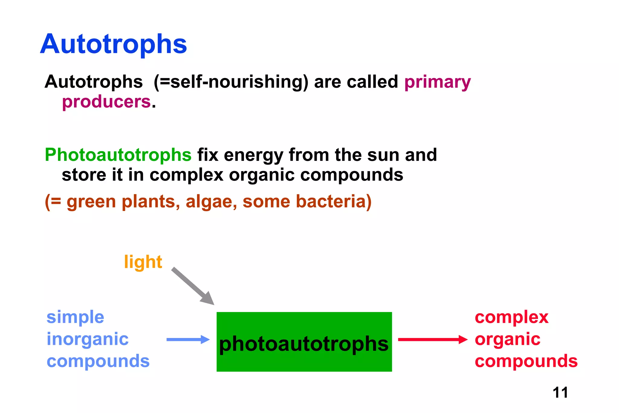Energy flow in eco system | PPT