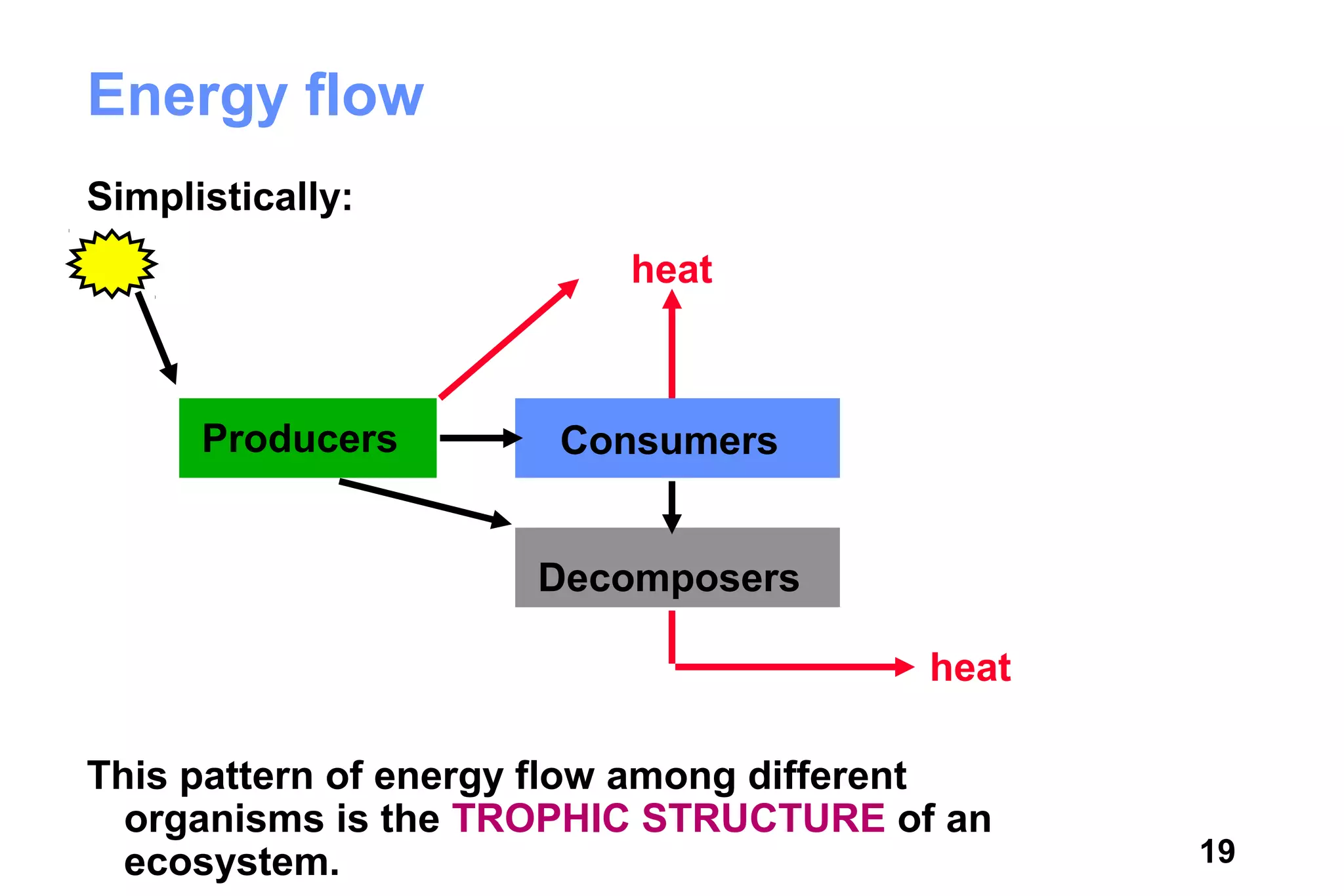 Energy flow in eco system | PPT