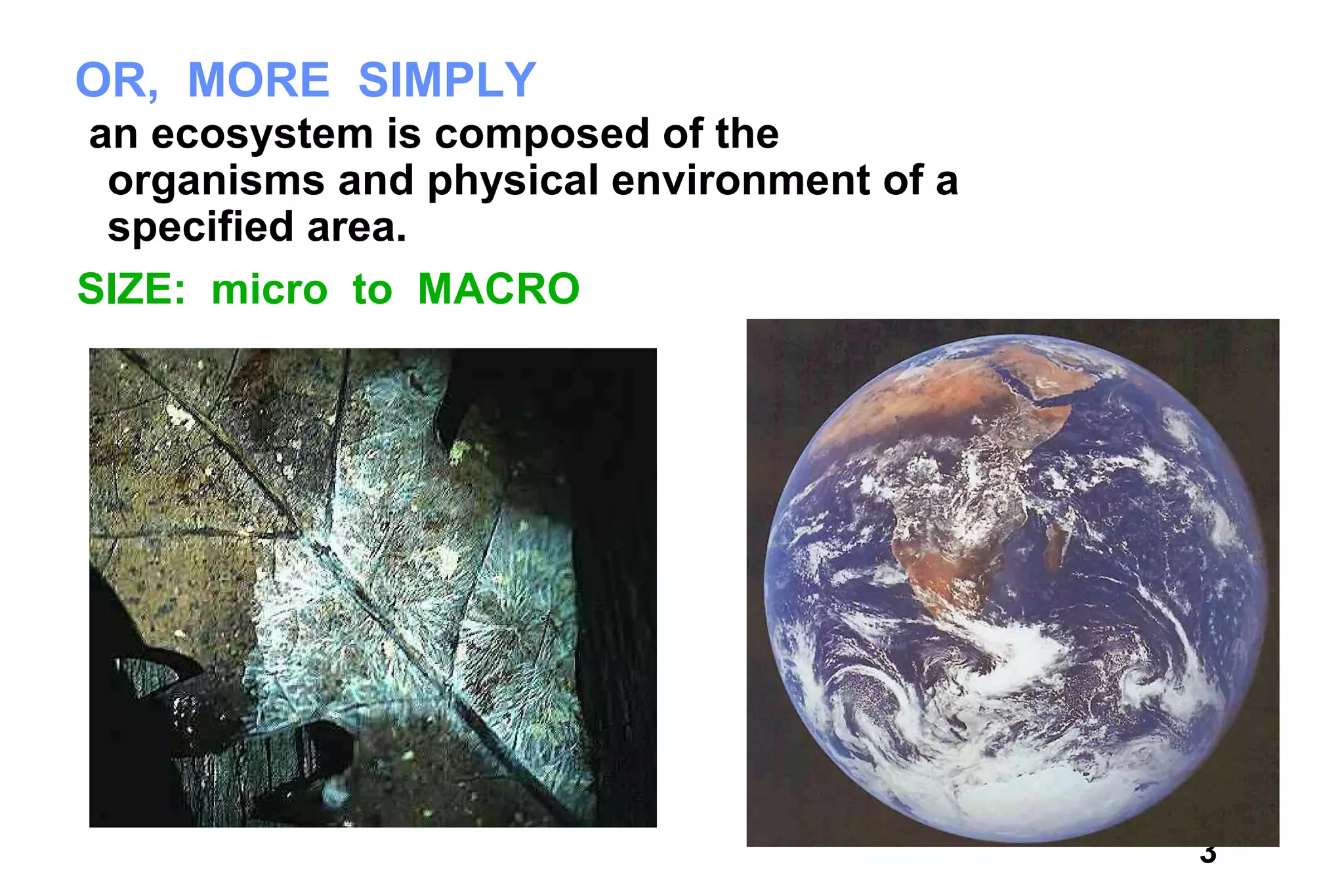 Energy flow in eco system | PPT