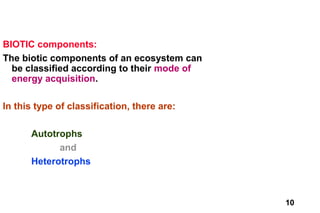 Energy flow in eco system | PPT