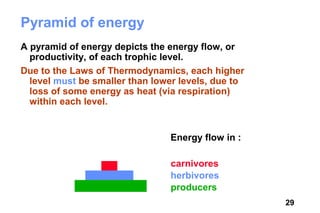 Energy flow in eco system | PPT