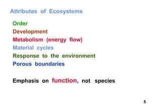 Energy flow in eco system | PPT