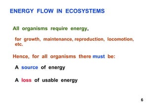 Energy flow in eco system | PPT