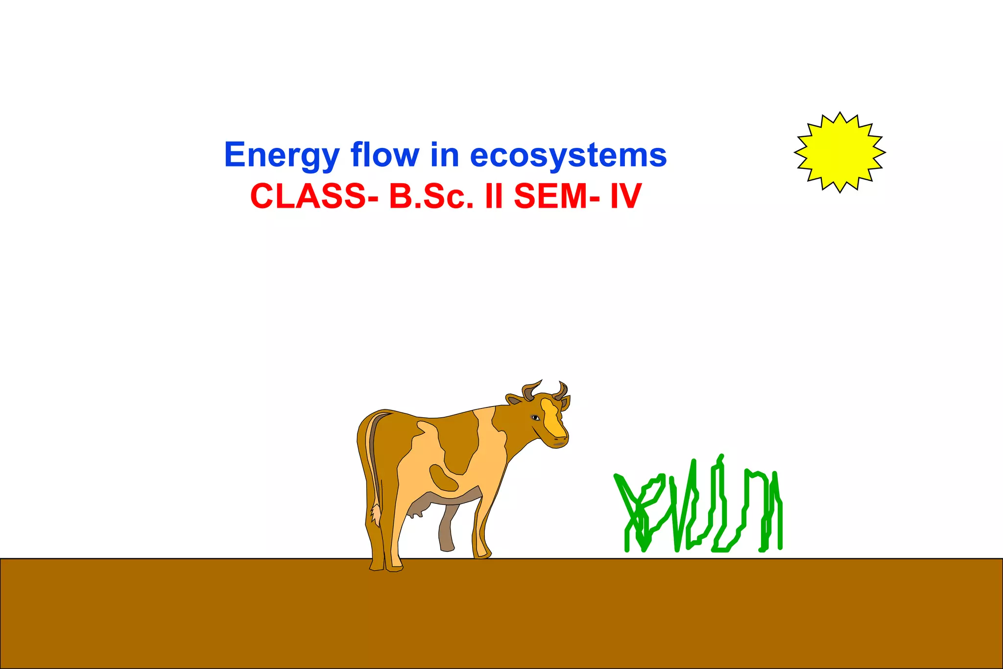 Energy flow in ecosystem | PPT
